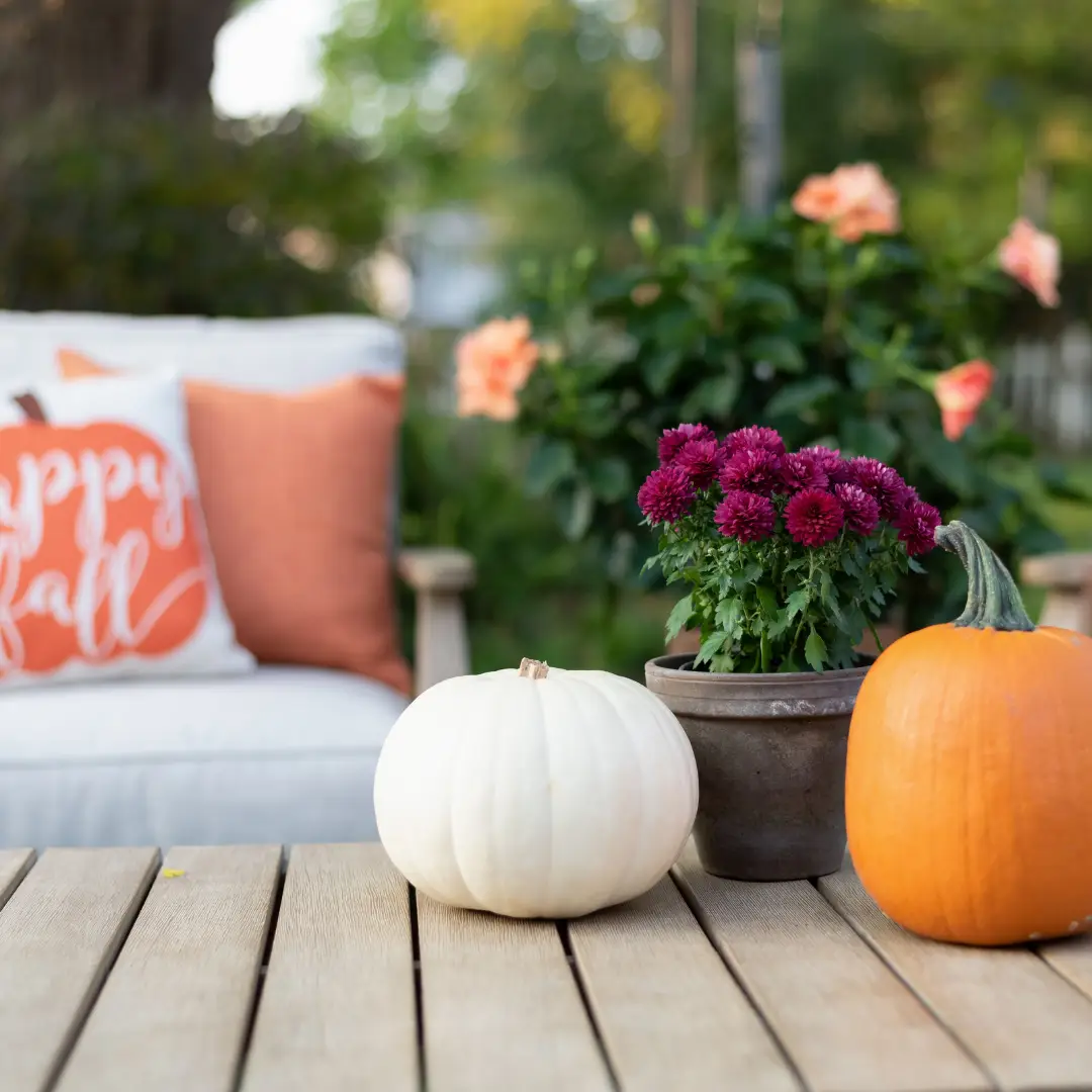 Transform Your Patio into a Cozy Fall Oasis - Maureen Briere - Your ...