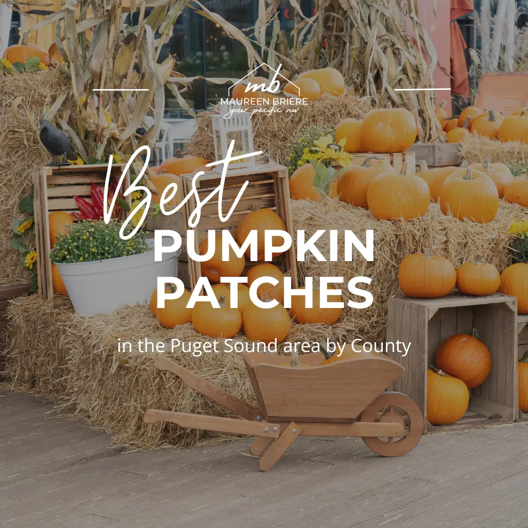 Best Pumpkin Patches Puget Sound (By County, Updated Annually)